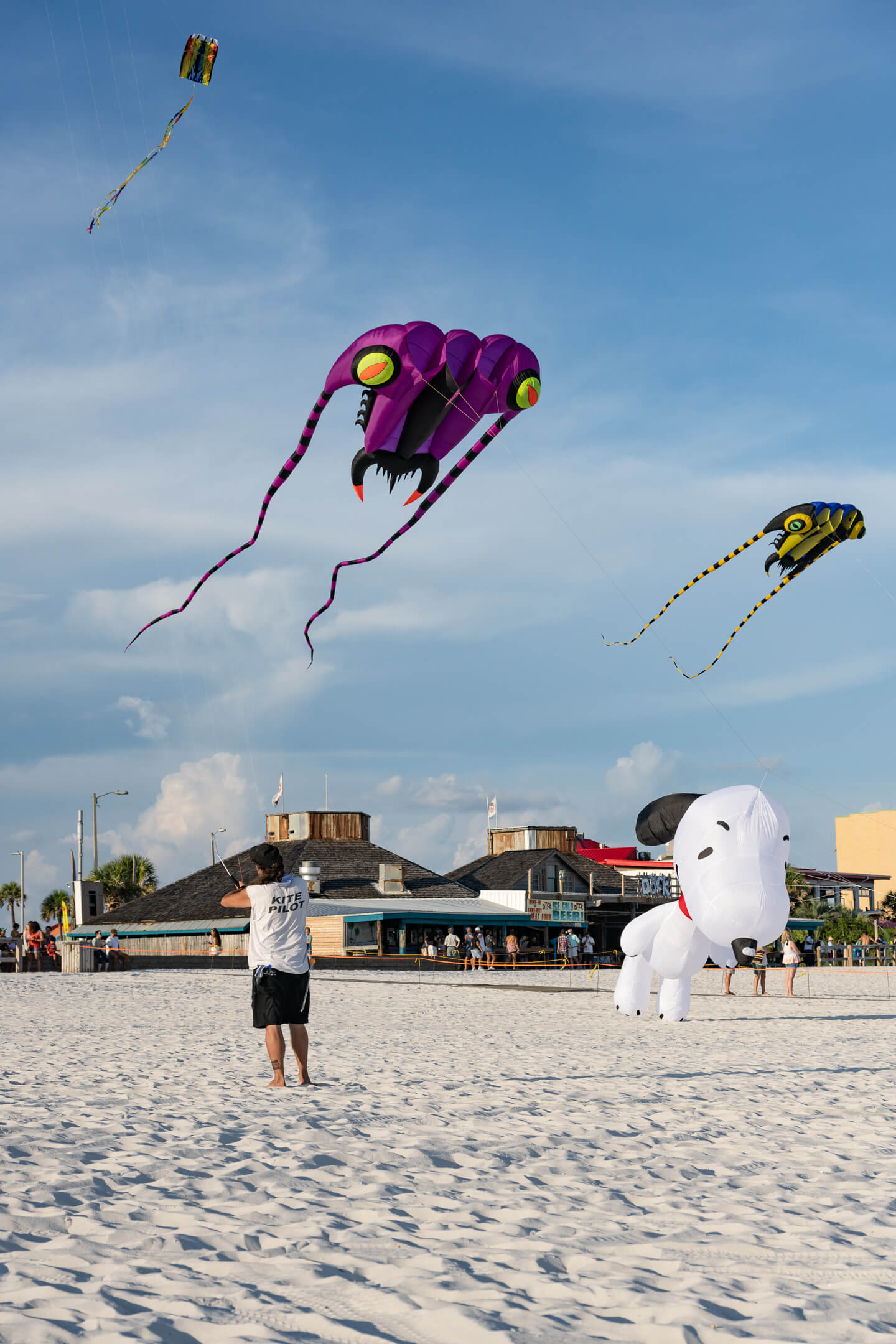 High-Flying Fun at Kites on the Coast - Ballinger Publishing