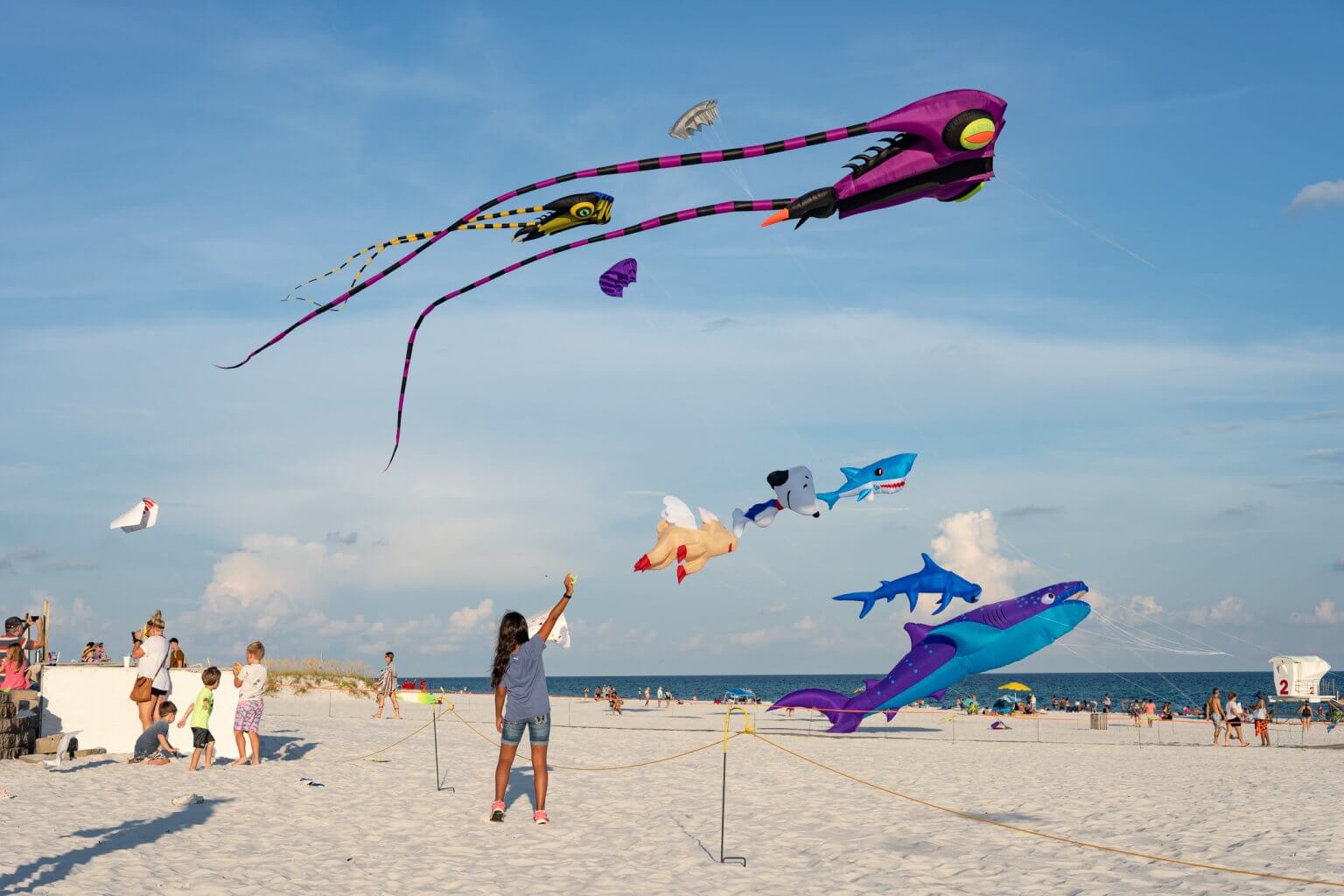 High-Flying Fun at Kites on the Coast - Ballinger Publishing