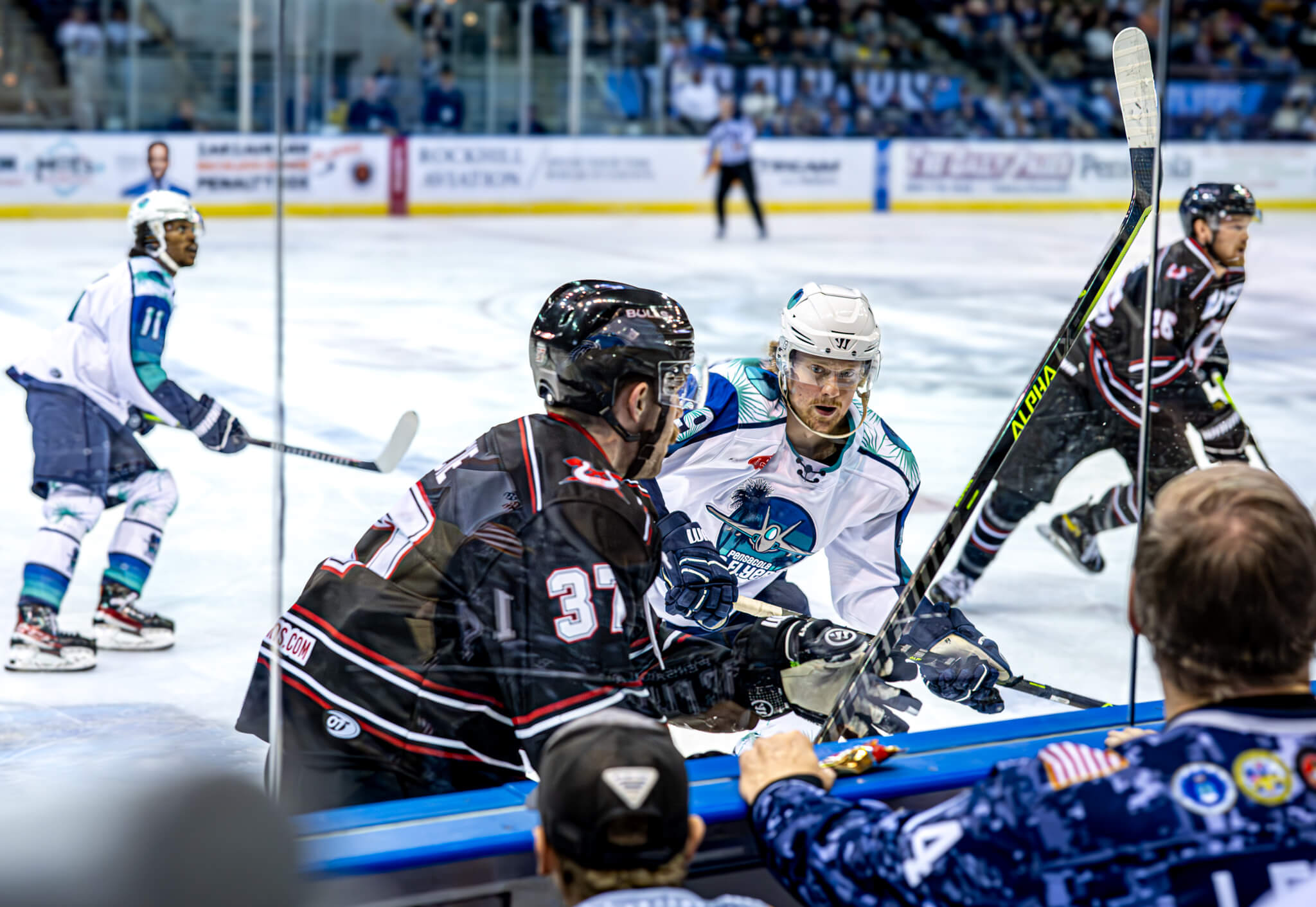 Pensacola Ice Flyers Kick Off 16th Season - Ballinger Publishing